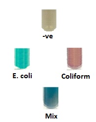 SS-L04 - SwabSURE Ecoli Coliform for detection of E.coli & Coliforms.